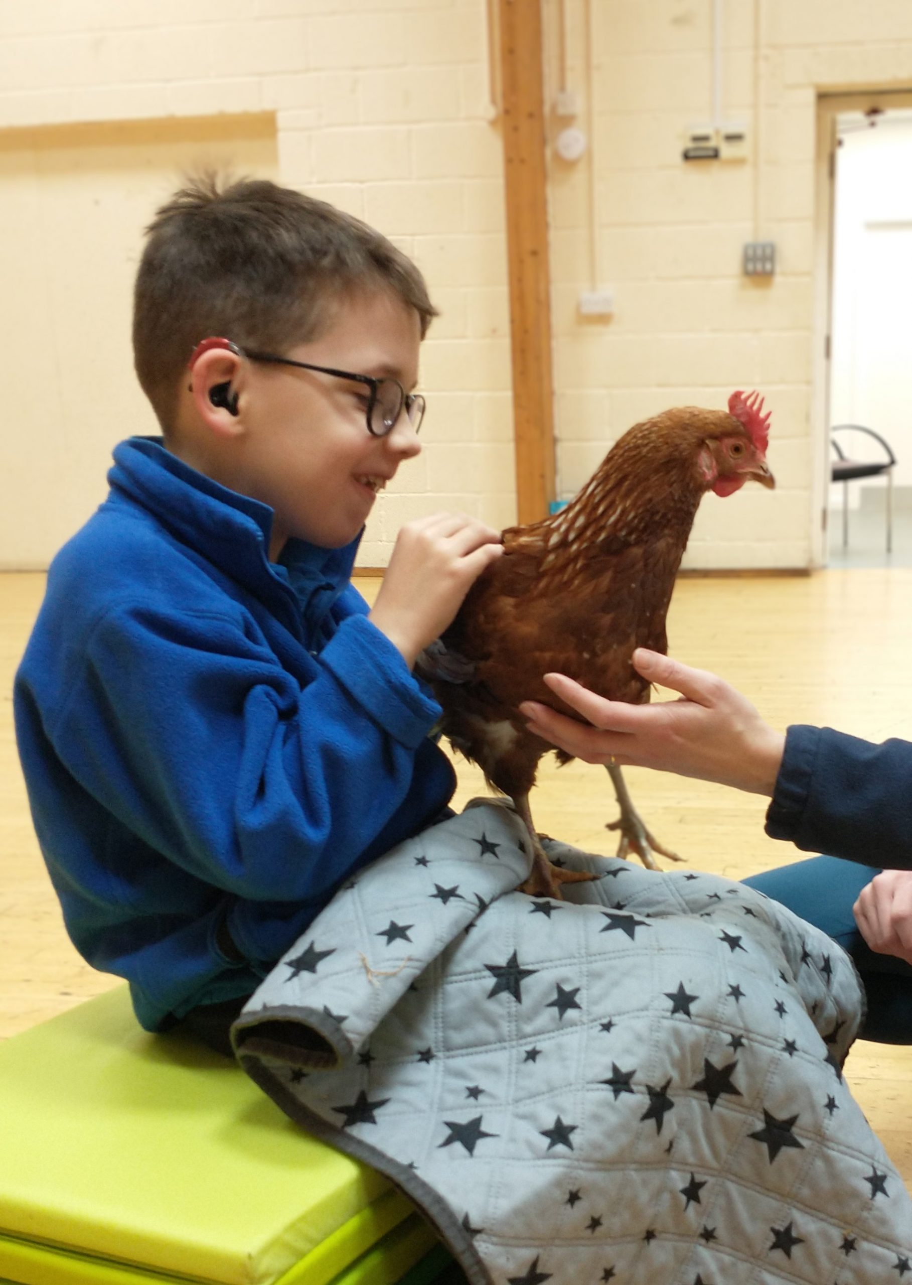 Playful Paws animal assisted sessions – CE Bristol